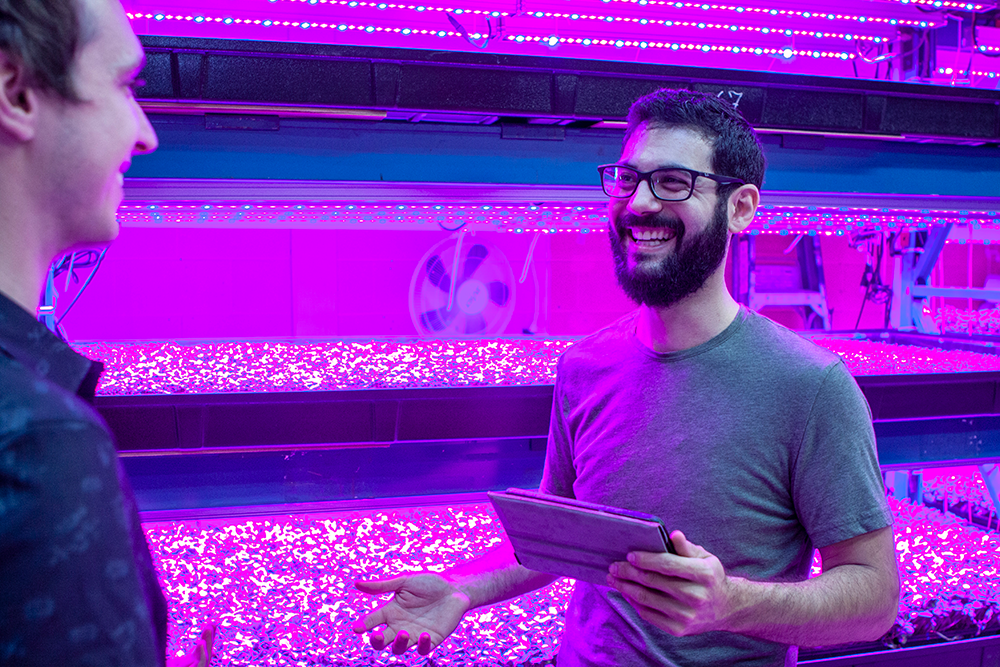 Consulting - VertiGrow