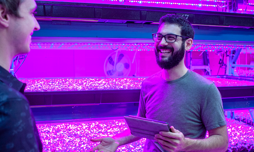 Consulting - VertiGrow