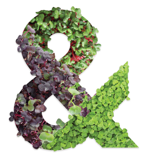 VertiGrow - Grow Food Everywhere