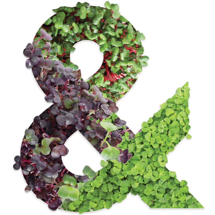 VertiGrow - Grow Food Everywhere